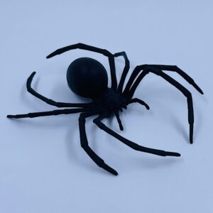 Edderkop - Stor sort Spider - Sjov.dk